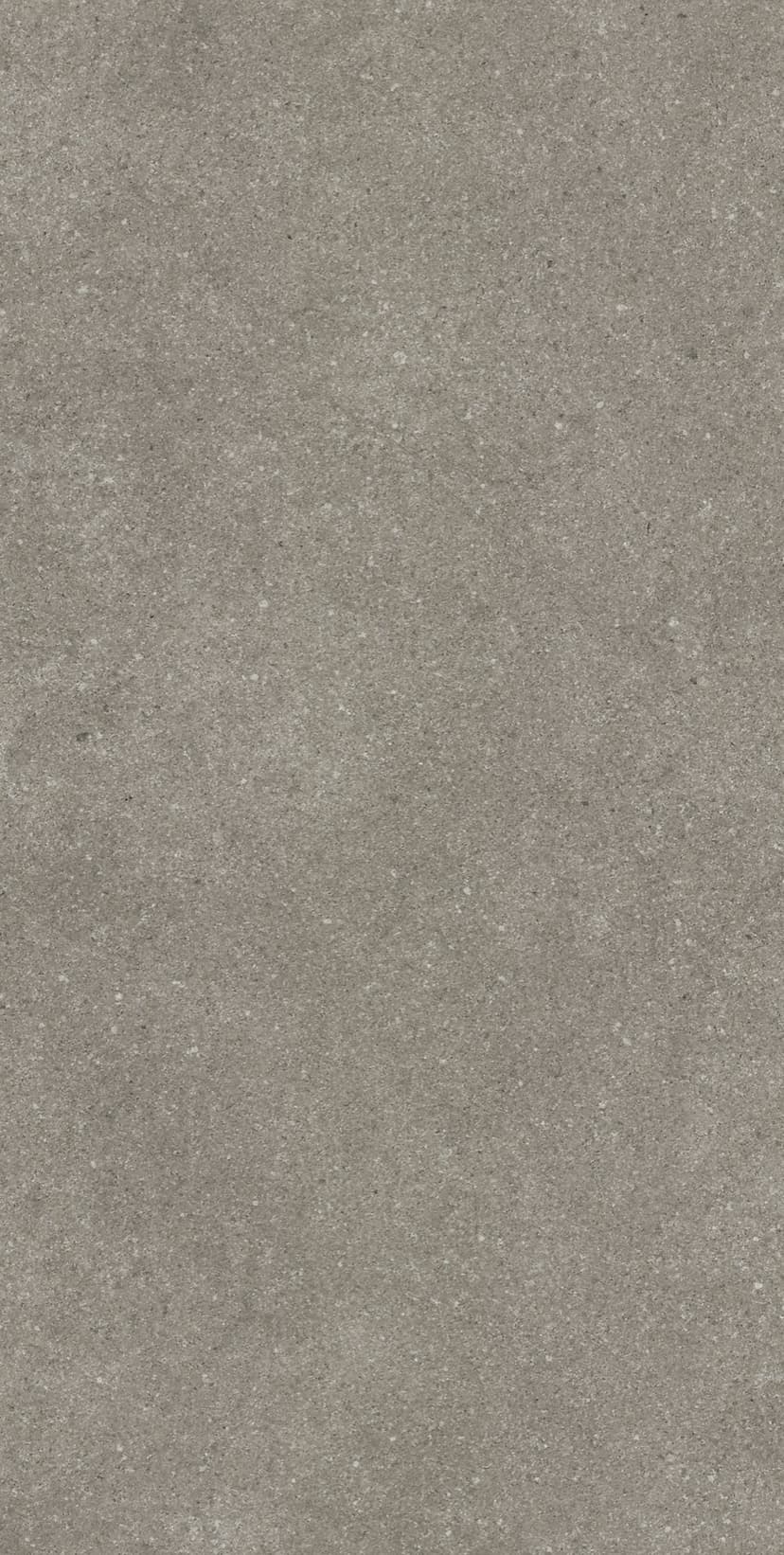 Omnistone Iron 29.5x59.2 cm - Revigrés