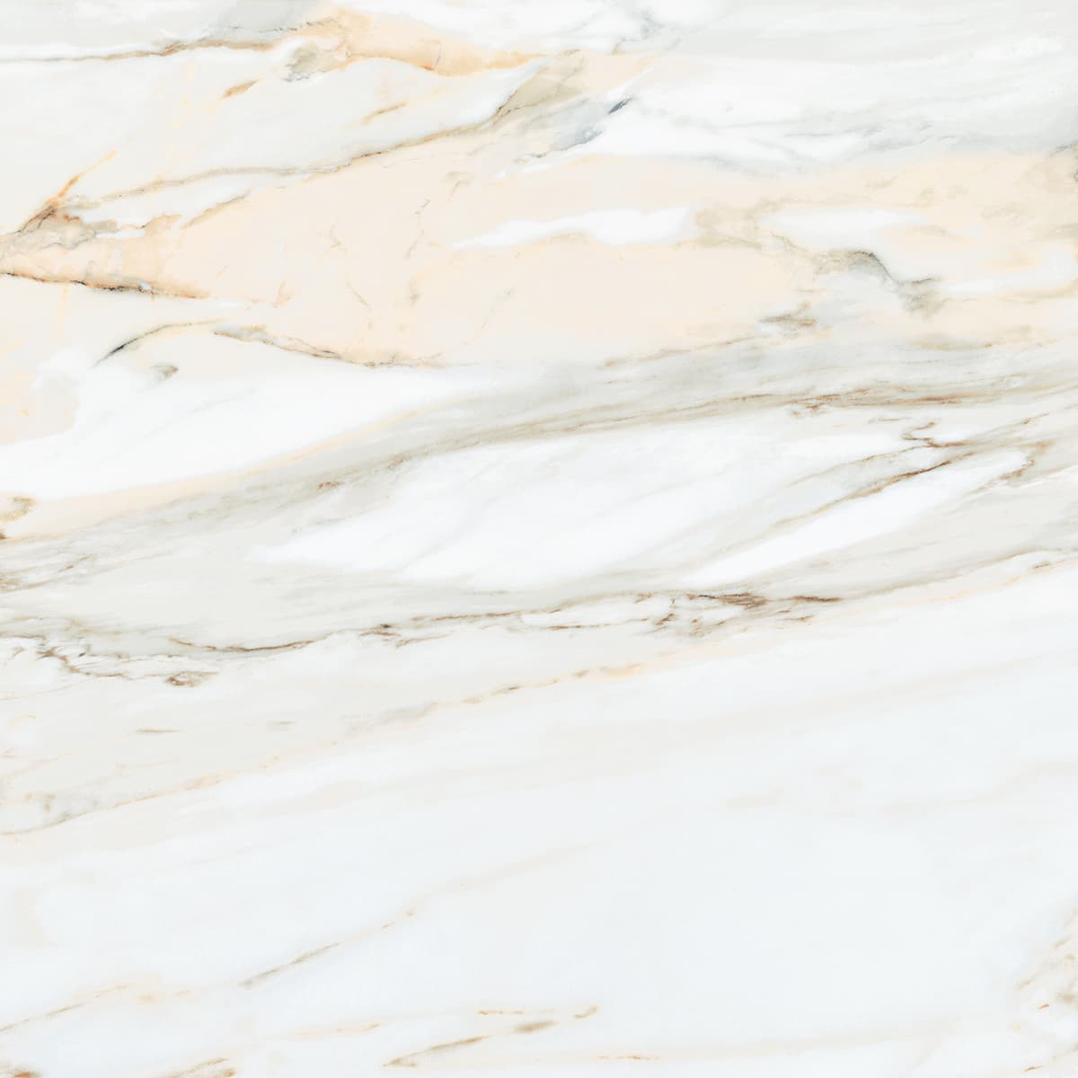 Calacatta Oro - Revigrés